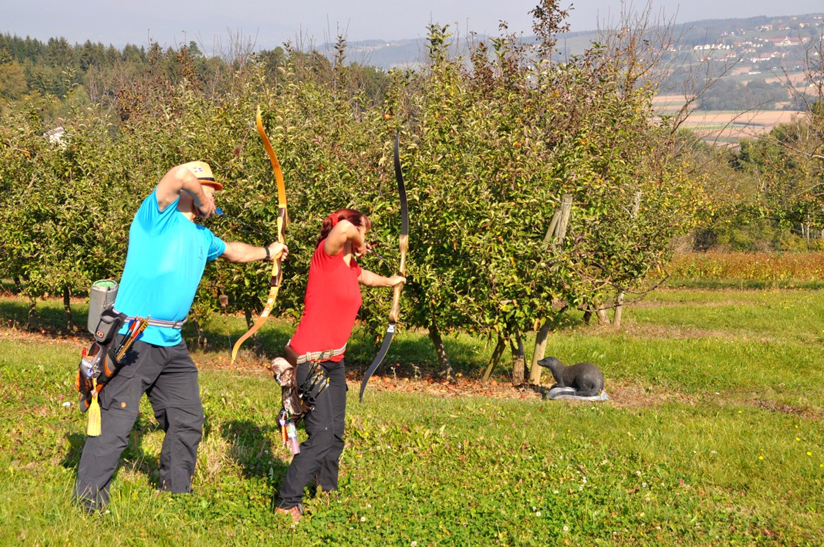 3D Bogenschießen & Blasrohr-Parcours